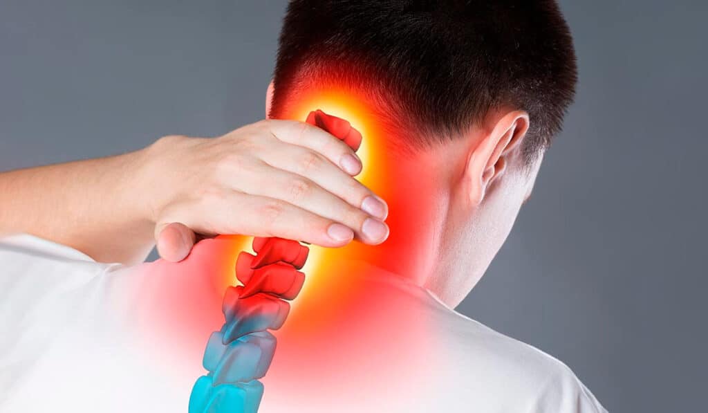 Cervicales - Infoespalda